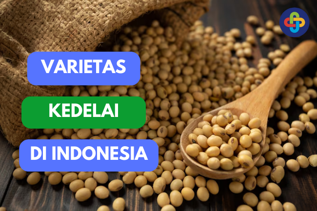 Ragam Varietas Kedelai di Indonesia: Kekayaan Sumber Daya Nabati yang ...